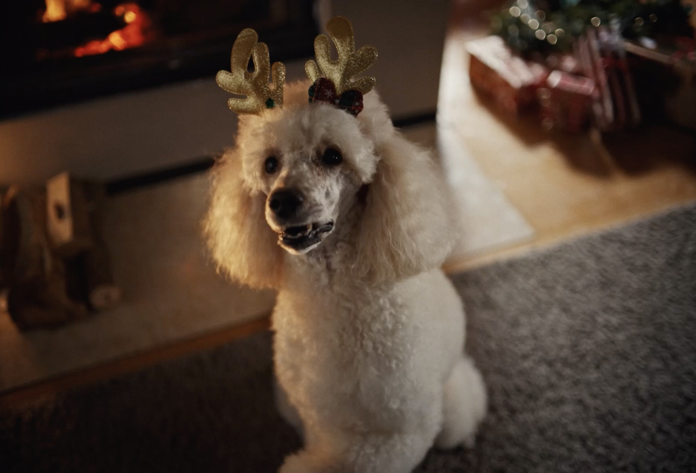 Media Marketing | Campaigns | TBWA/McDonald's : "EOY campaign 2023"